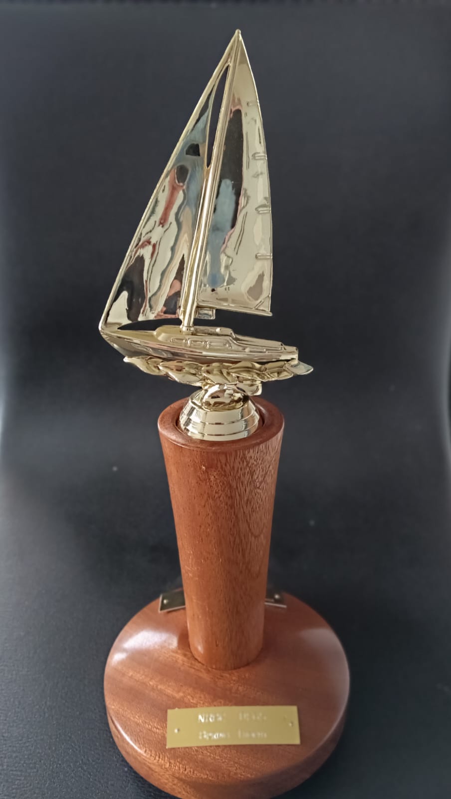 DF65 Spring Trophy – Nelson Radio Sailing Club